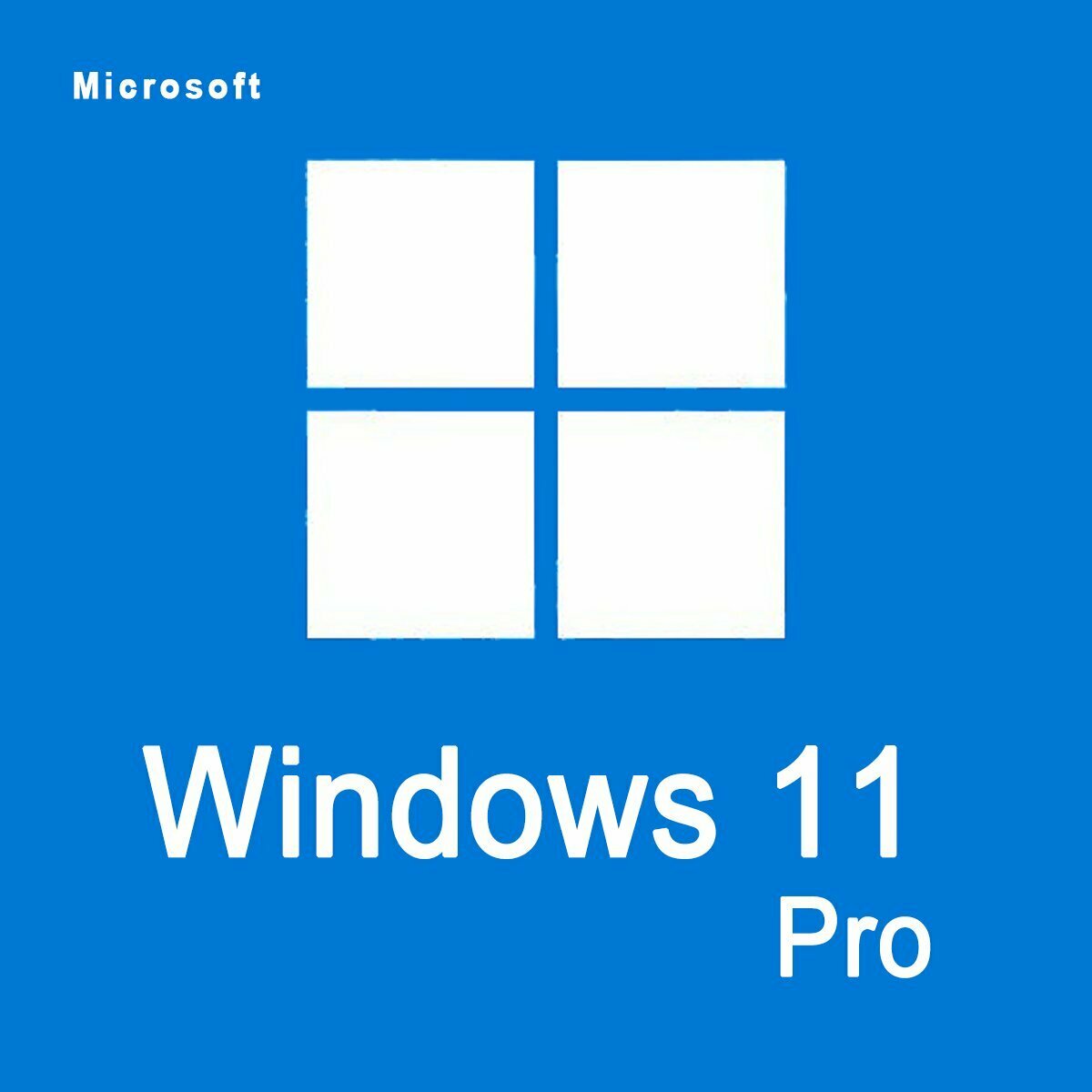 Windows 11 Pro 2022 windows-11-pro-2022